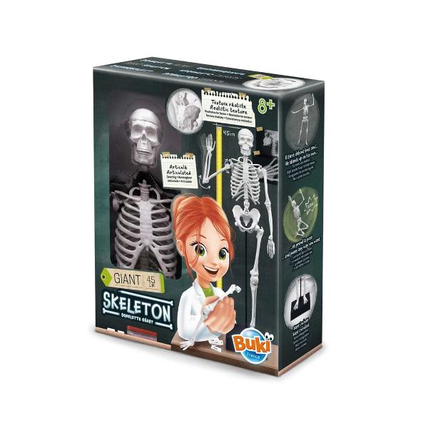 "Joc educativ Schelet Gigant 45 cm, Buki France BK2180" - - Libraria CLB