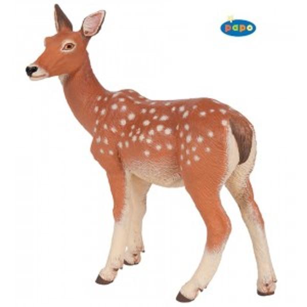 Caprioara P53014 - - Libraria CLB