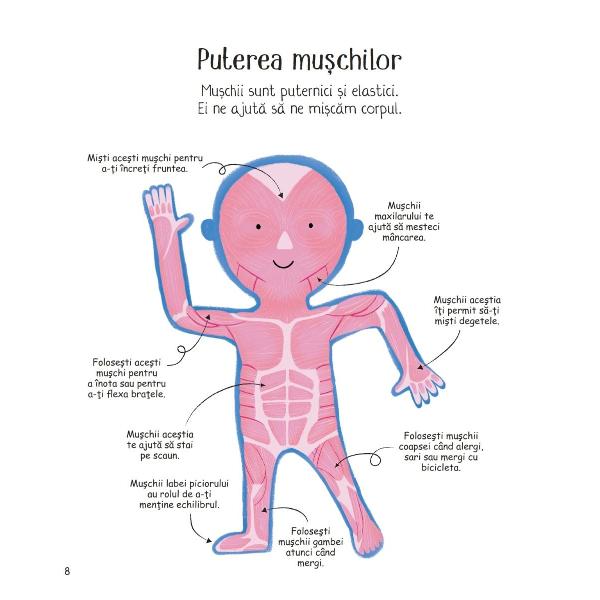 Prima mea carte despre corpul uman - Matthew Oldham, Tony Neal ...