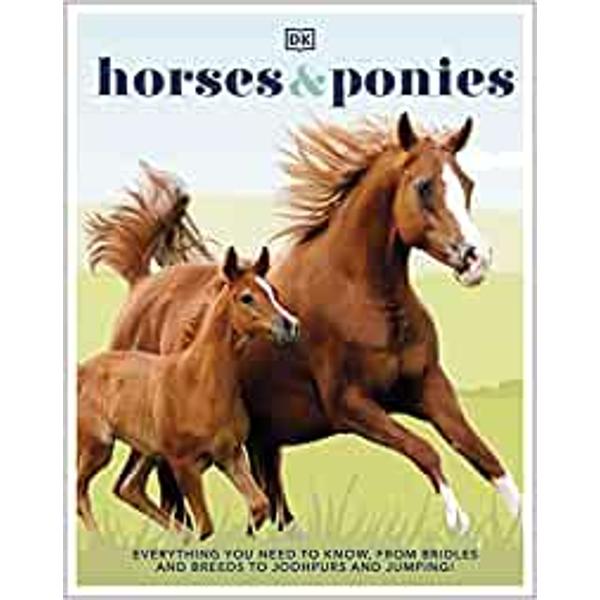 Horses & Ponies : Everything You Need to Know - - Libraria CLB