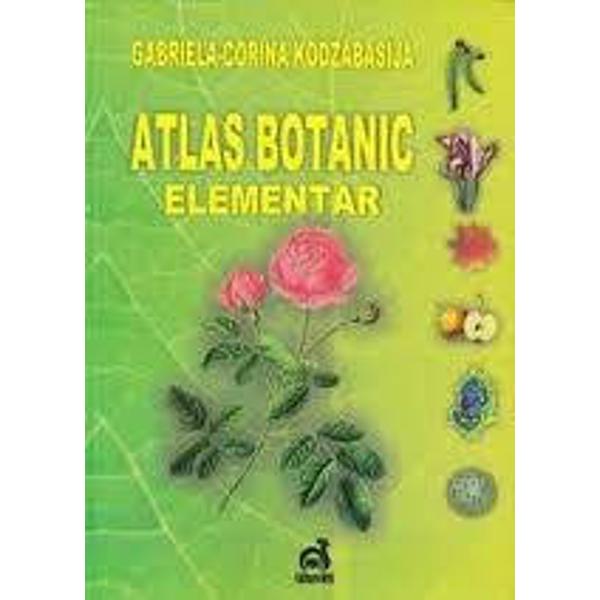 Atlas botanic elementar - Gabriela-Corina Kodzabasija - Libraria CLB