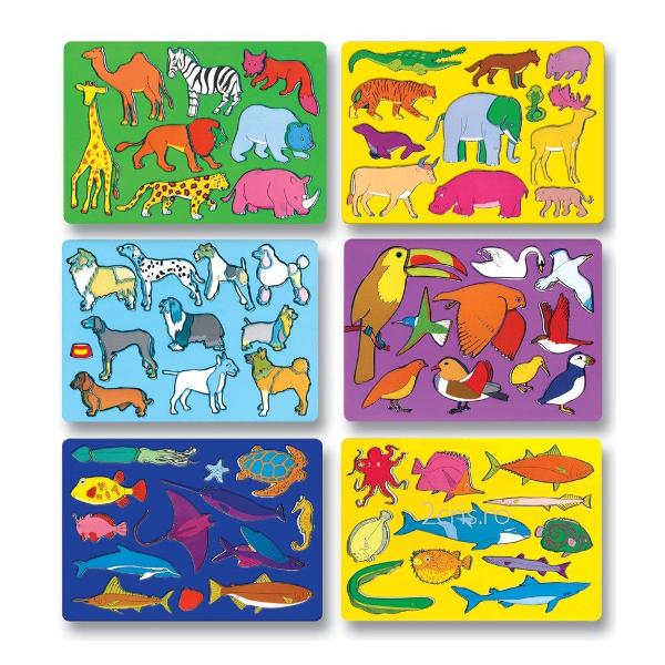 Set sabloane animale F40602 - - Libraria CLB