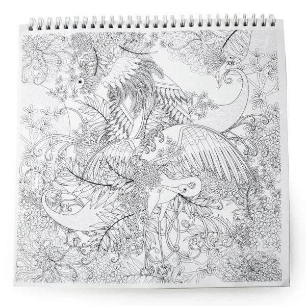 Carte de colorat pentru adulti TERAPIA DA COR COLOR THERAPY ...