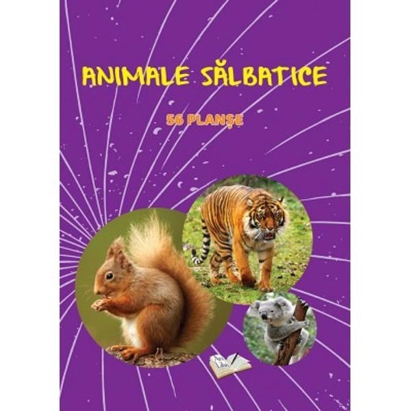 "Mapa - Animale salbatice, 56 planse" - Colectiv Ars Libri - Libraria CLB